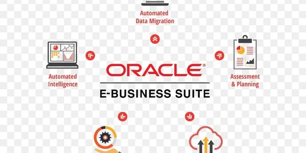 ORACLE E-BIZ SOLUTIONS | NESH TECHNOLOGIES LLC